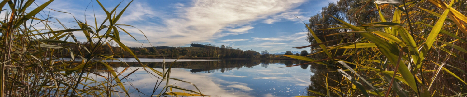 Ammer Pegelstand – Fischereiverein Weilheim e.V.